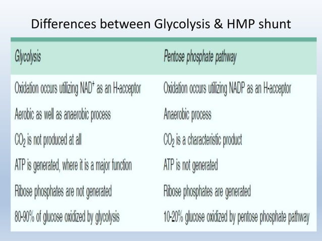 HMP Shunt & Uronic Acid PAthway | PPTX