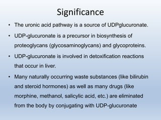 HMP Shunt & Uronic Acid PAthway | PPTX