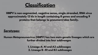 HMPV (Human Metapneumovirus) presentation | PDF