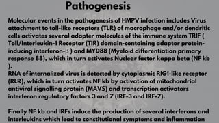 HMPV (Human Metapneumovirus) presentation | PDF