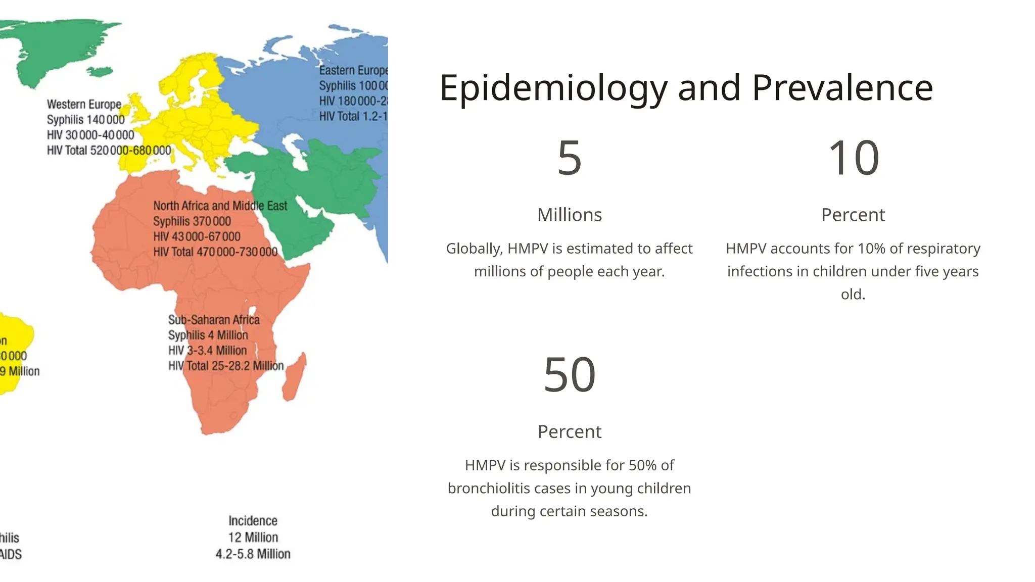HMPV Virus An Introduction on Slideshare by Raj Kumar Mandal | PDF
