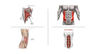 Stationary Movement Analysis_Plank Analysis.pptx
