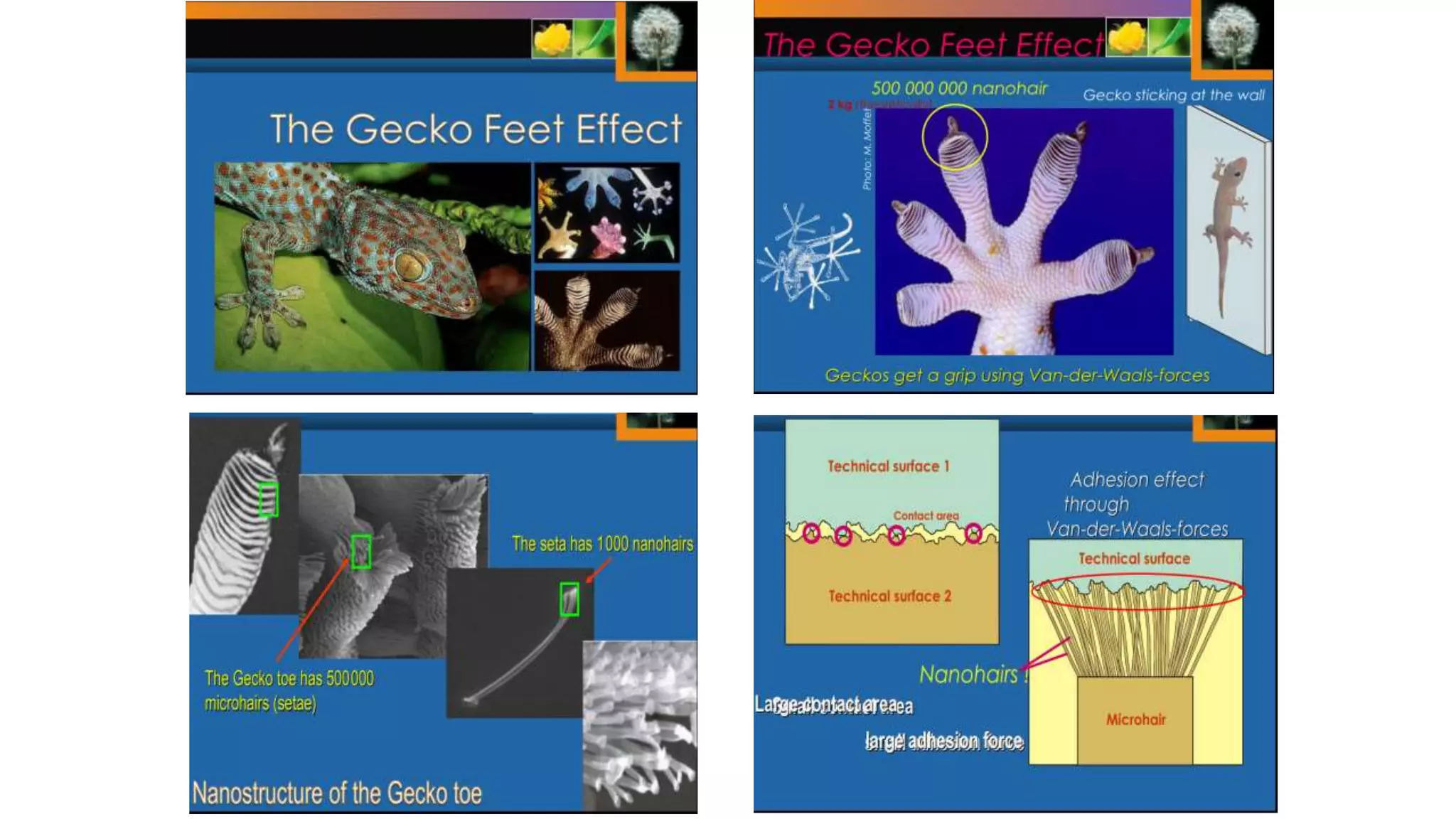 Nanotechnology: Origin, History and Principles | PPTX