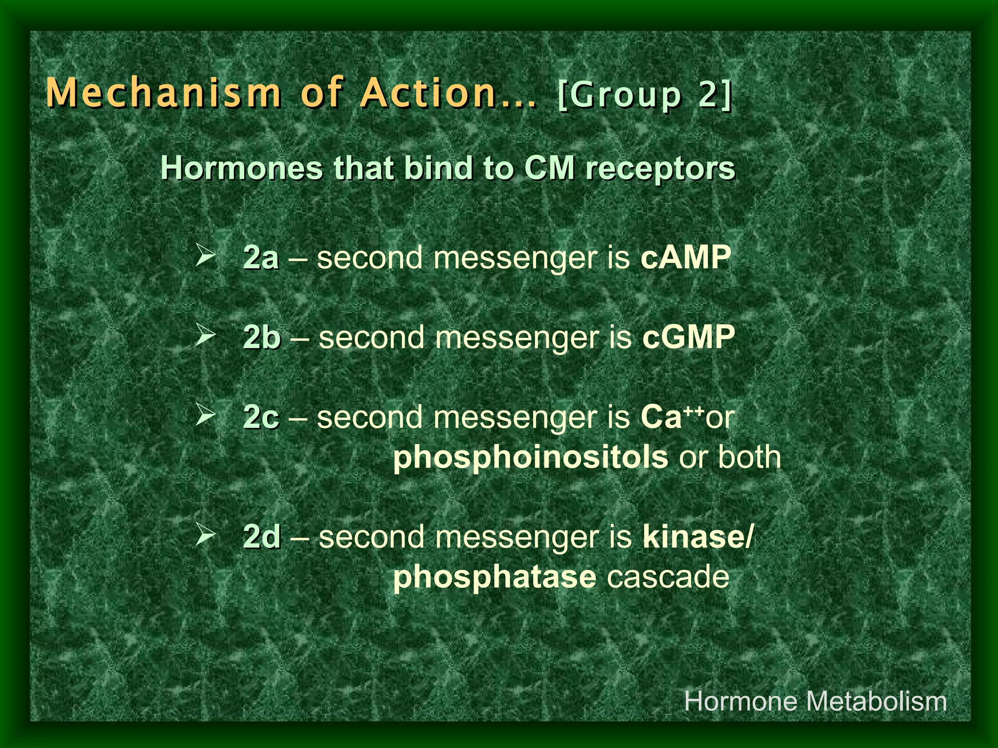 Hormone Metabolism | PPT