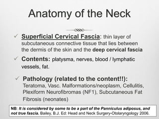 Head and Neck Masses In Children | PPTX