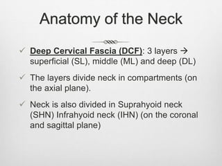Head and Neck Masses In Children | PPTX