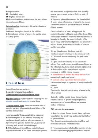 head and neck bones | PDF