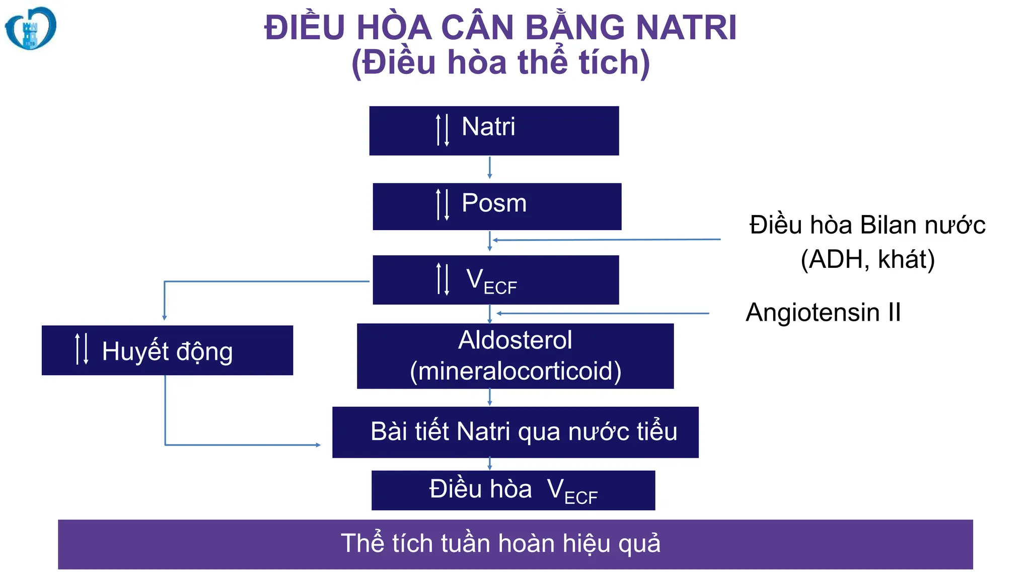Chuyên đề Hạ Natri máu - Cập nhật 2023.pptx