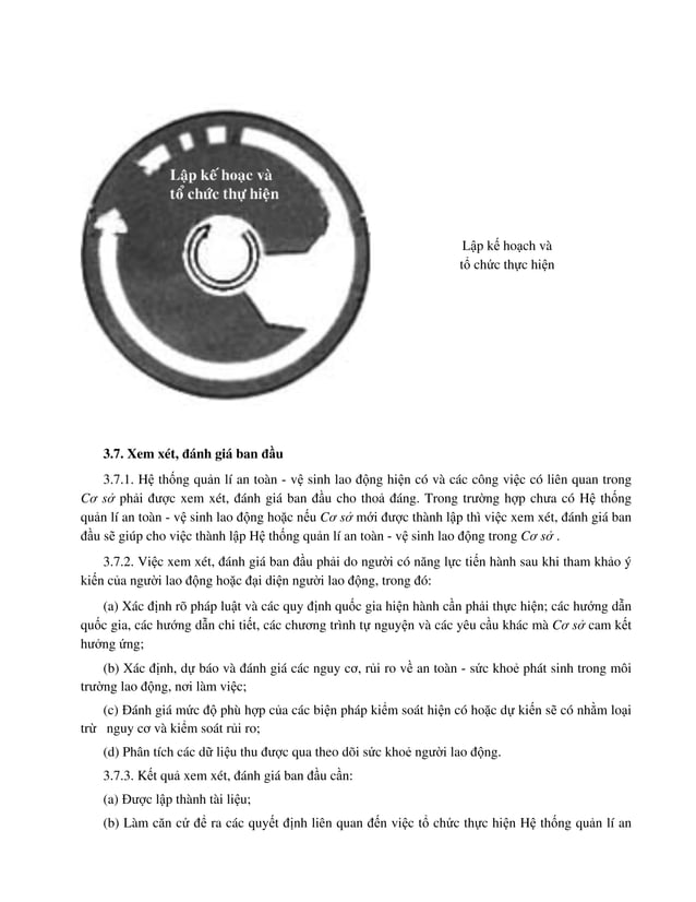 Hướng dẫn hệ thống quản lý an toàn và vệ sinh lao động ilo – osh 2001 | PDF