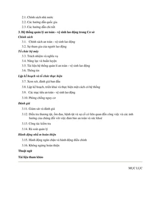 Hướng dẫn hệ thống quản lý an toàn và vệ sinh lao động ilo – osh 2001 | PDF