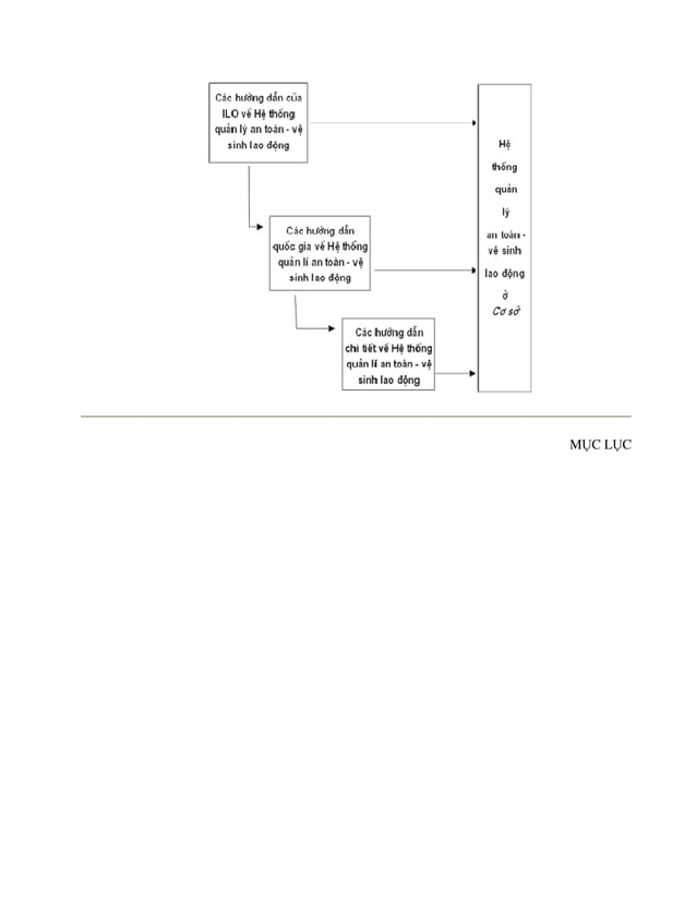 Hướng dẫn hệ thống quản lý an toàn và vệ sinh lao động ilo – osh 2001 | PDF