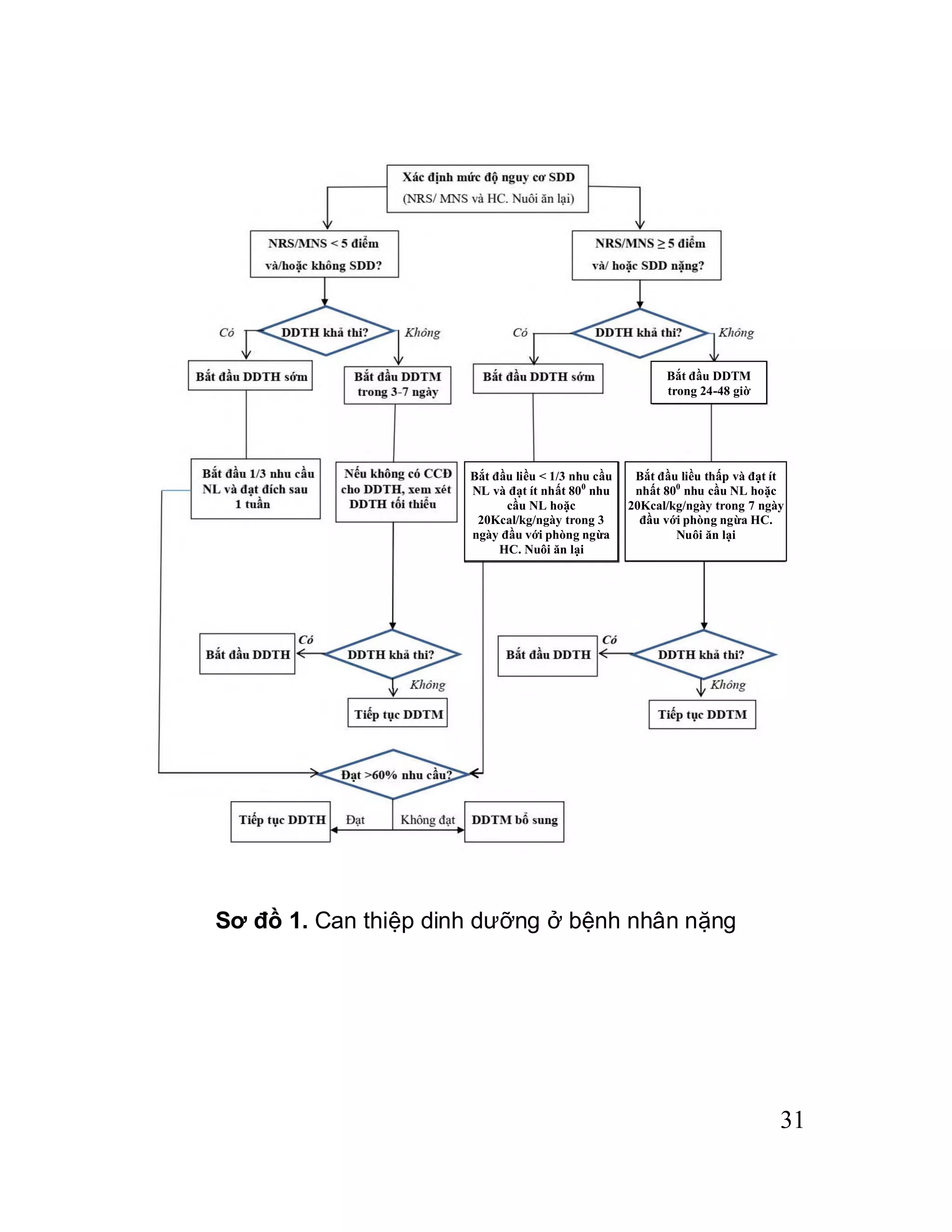 Hướng dẫn điều trị dinh dưỡng cho bệnh nhân nặng.pdf