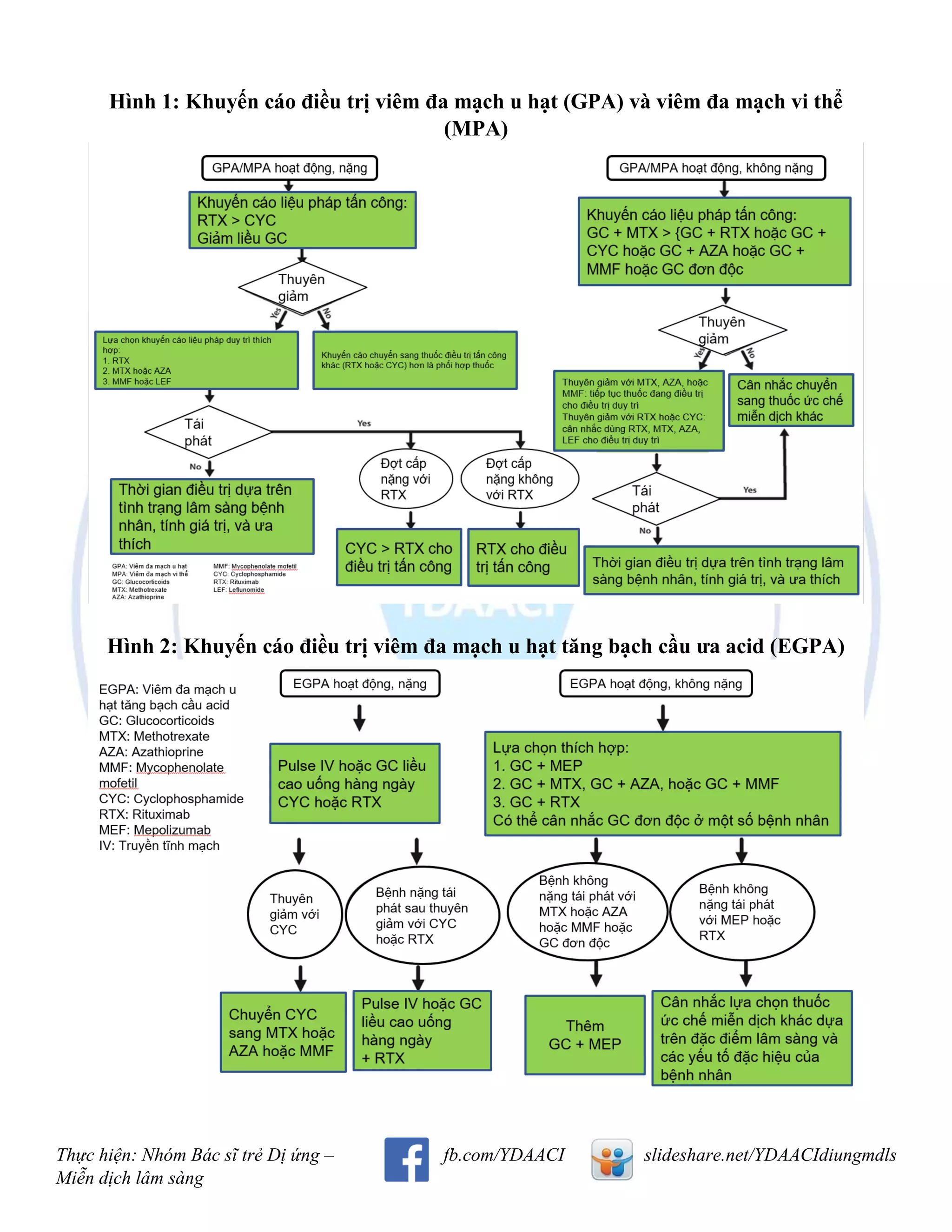 Hướng dẫn điều trị viêm mạch anca theo ACR.pdf