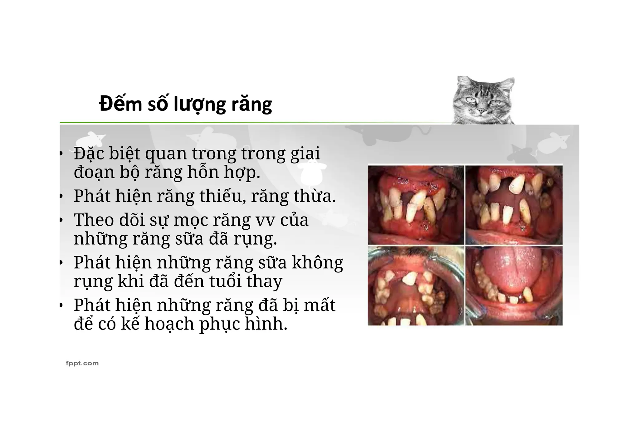 Hướng Dẫn Làm Bệnh Án Răng hàm mặt chi tiết | PDF