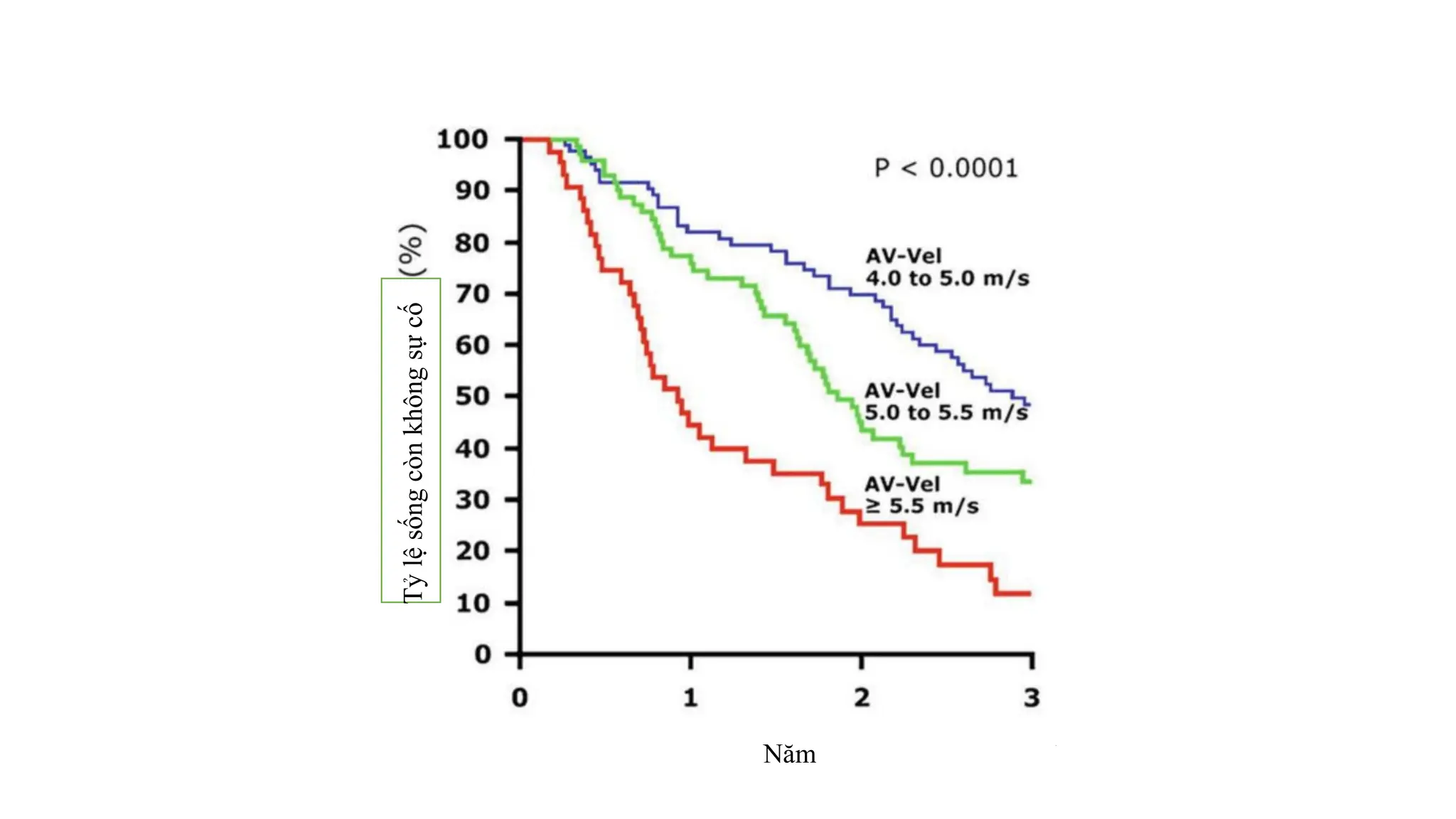 Cardiovascular illustration for TAVI.pptx
