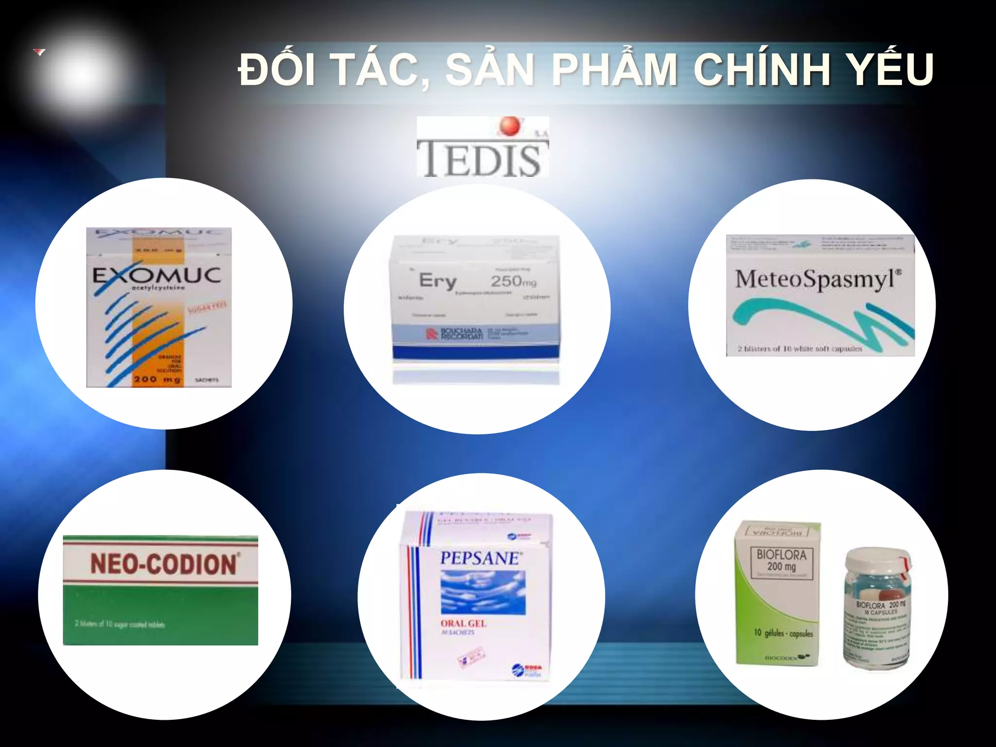 Hnkh baocao vietha | PDF