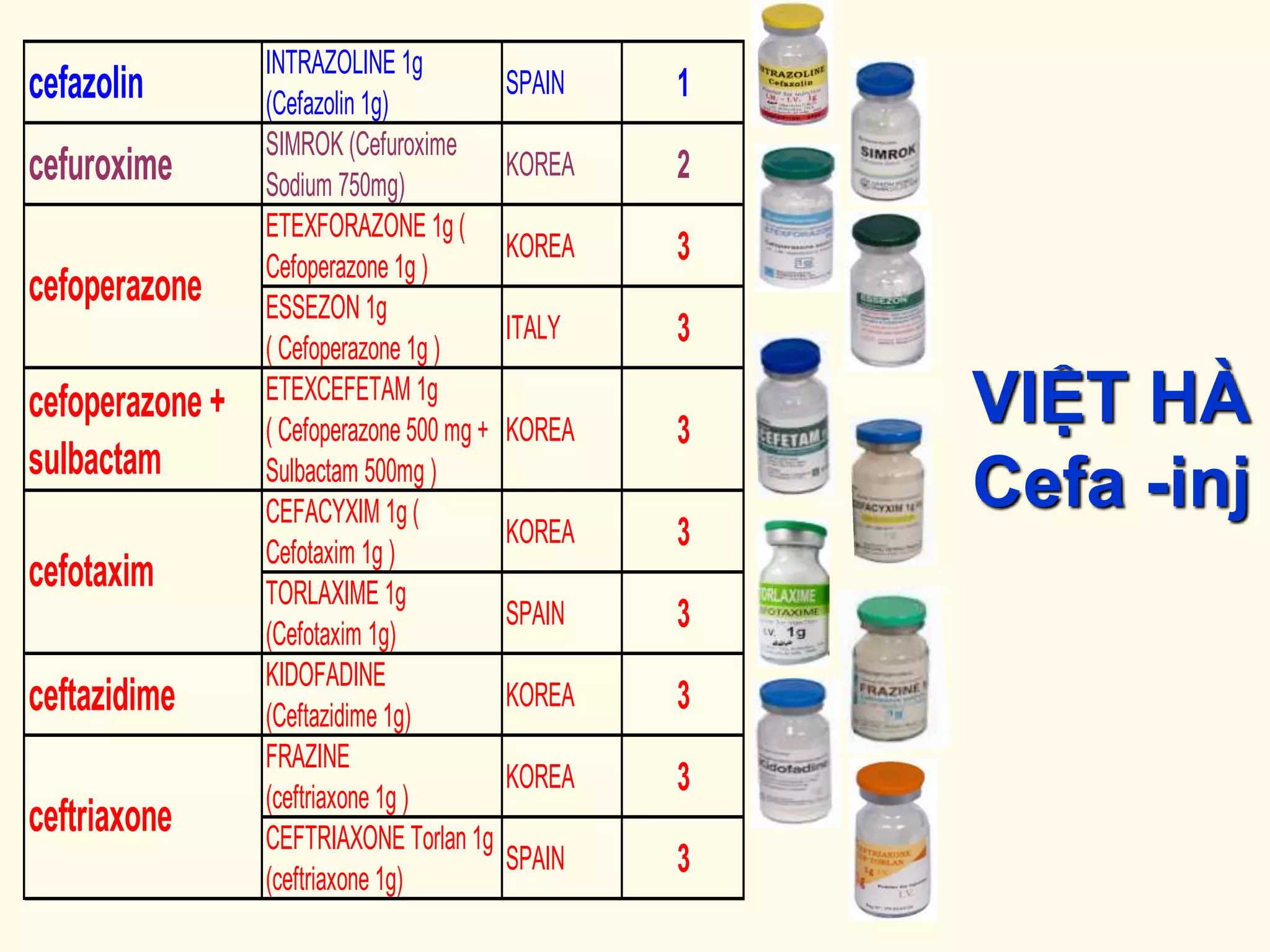 Hnkh baocao vietha | PDF