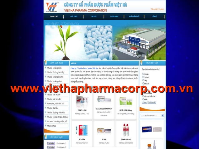 Hnkh baocao vietha | PDF