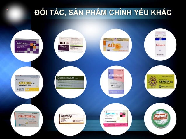 Hnkh baocao vietha | PDF