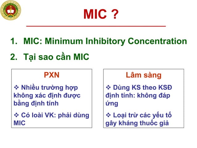 ỨNG DỤNG MIC CỦA KHÁNG SINH TRONG LÂM SÀNG | PDF