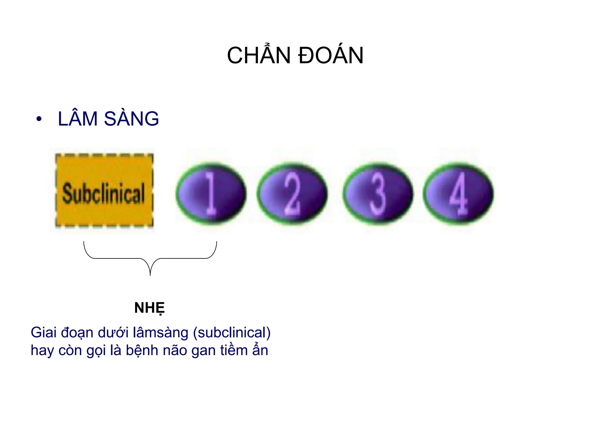 HÔN MÊ GAN.hon me gan chan doan dieu trịppt | PPT