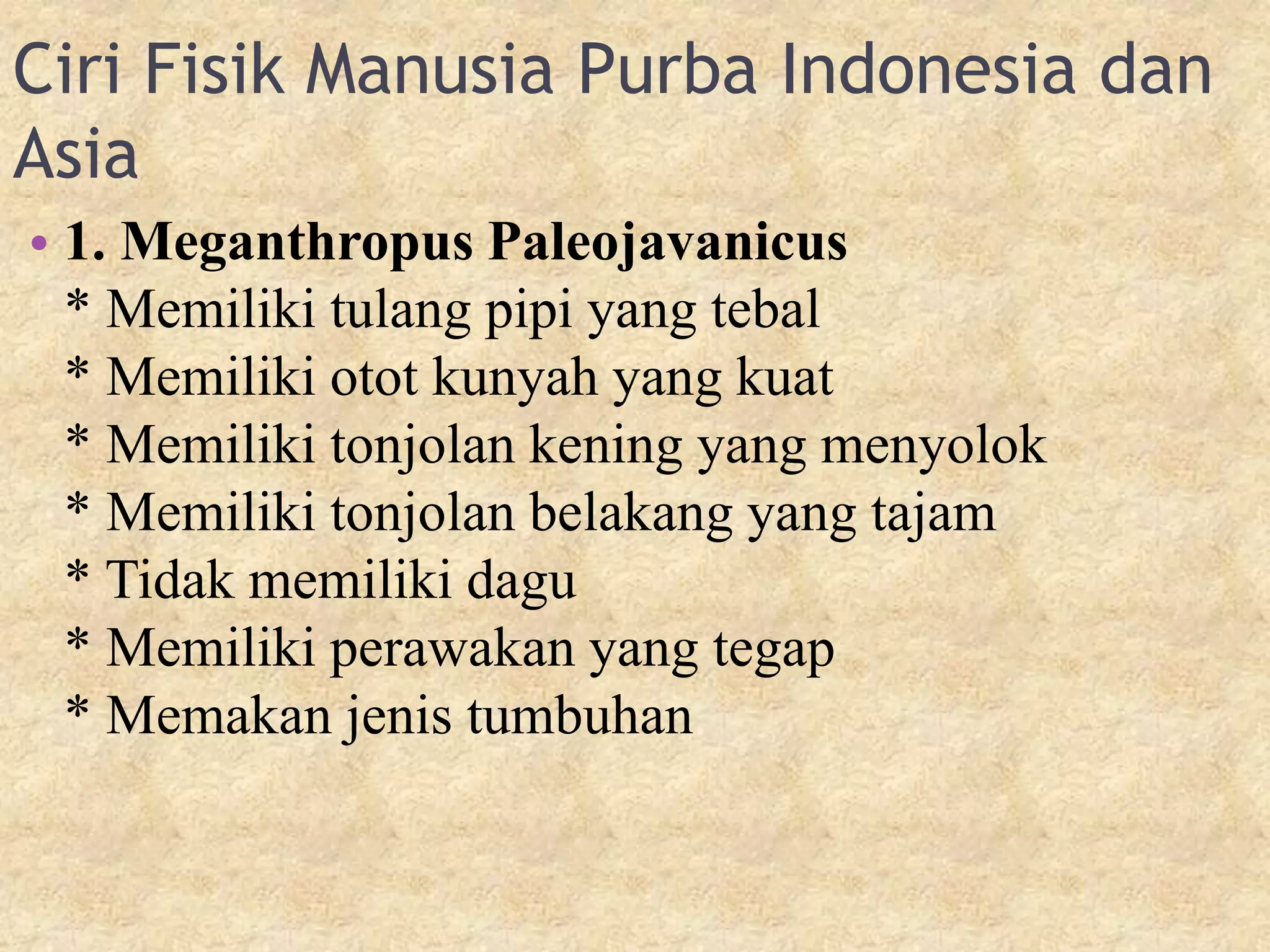 Manusia purba di dunia (Manusia Purba di Eropa, Ciri fisik manusia ...