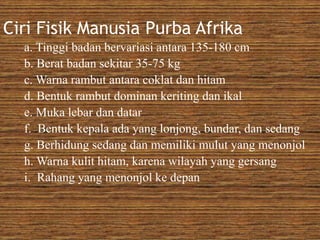 Manusia purba di dunia (Manusia Purba di Eropa, Ciri fisik manusia ...