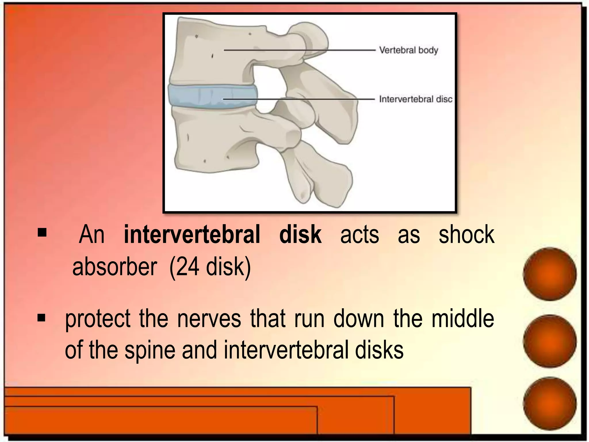 Herniated Nucleus Pulposus | PPTX