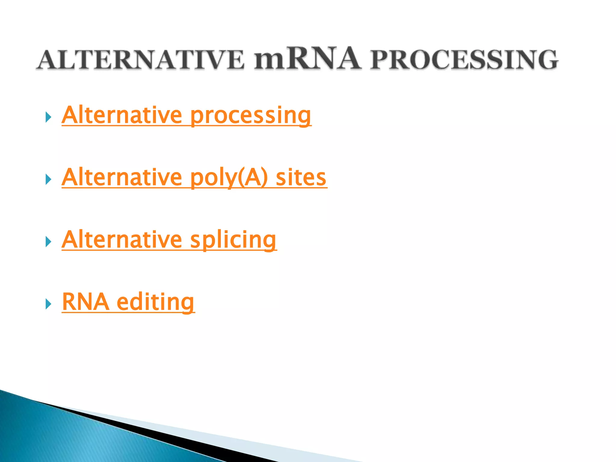 hn RNA processing | PPT