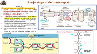 PHOSPHORYLATION Of Glucose during the process of glycolysis .pptx