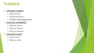 Aspect of Sepedi in Context | PPTX