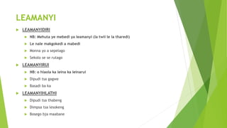 Aspect of Sepedi in Context | PPTX