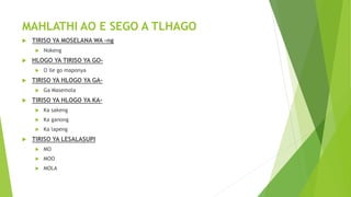 Aspect of Sepedi in Context | PPTX