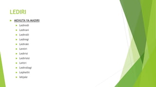 Aspect of Sepedi in Context | PPTX