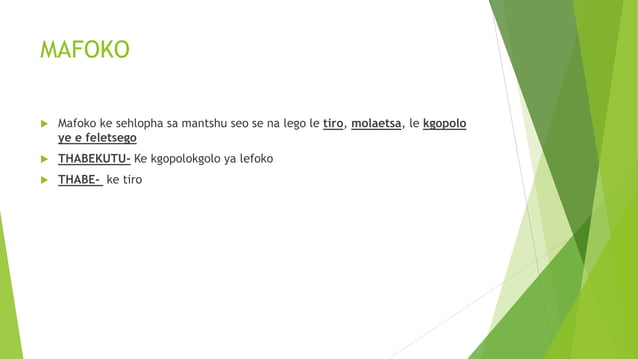 Aspect of Sepedi in Context | PPTX