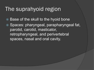 H&n sonographic anatomy of the neck and diffuse thyroid | PDF