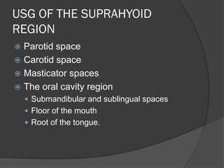 H&n sonographic anatomy of the neck and diffuse thyroid | PDF