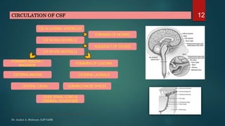 CEREBROSPINAL FLUID (CSF) | PPT