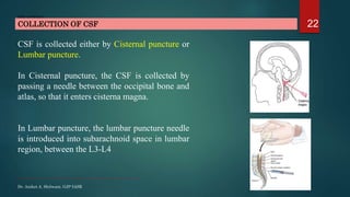 CEREBROSPINAL FLUID (CSF) | PPT