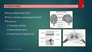 CEREBROSPINAL FLUID (CSF) | PPT