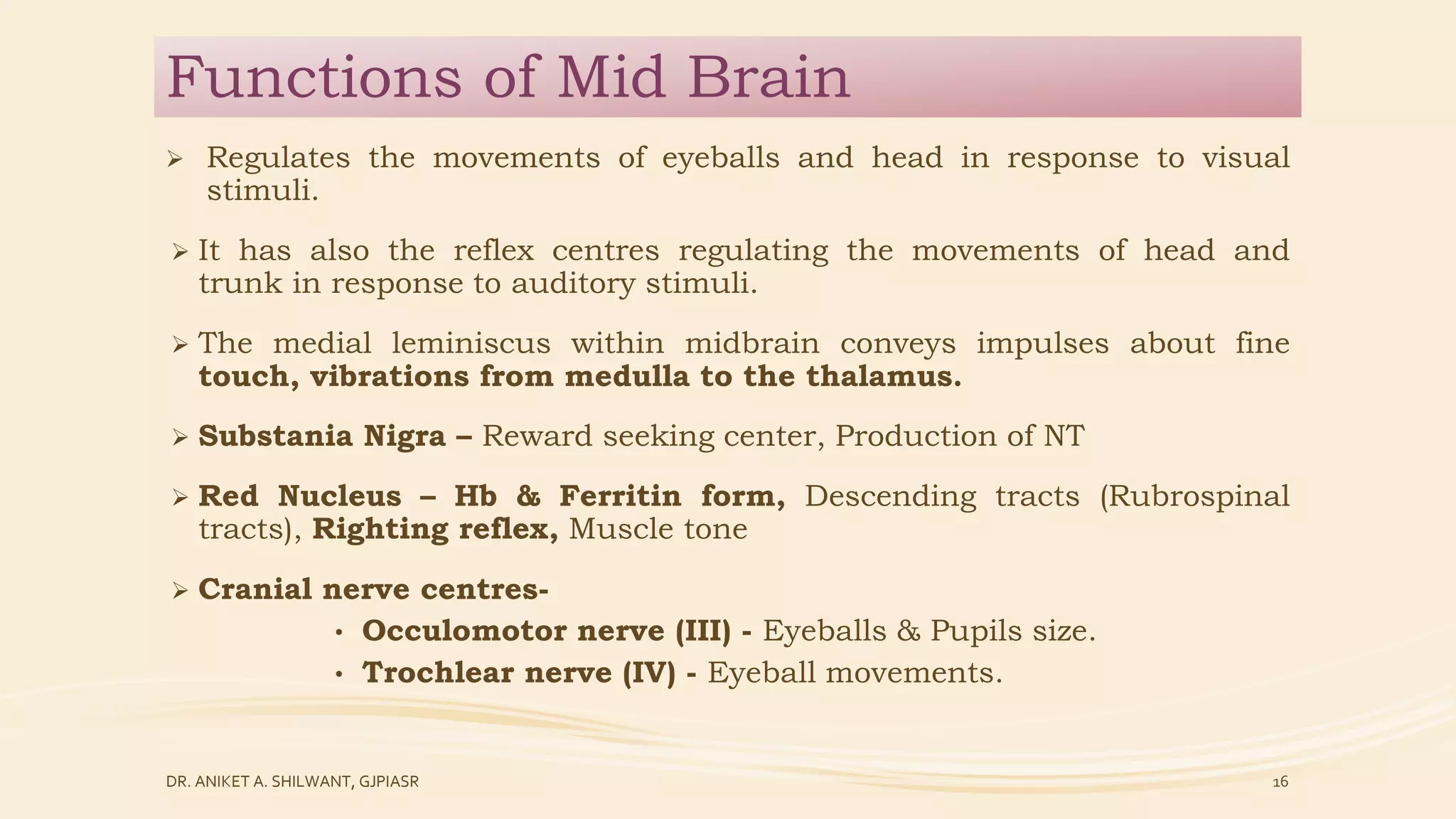 HNS PART IV - PARTS OF BRAIN | PPTX
