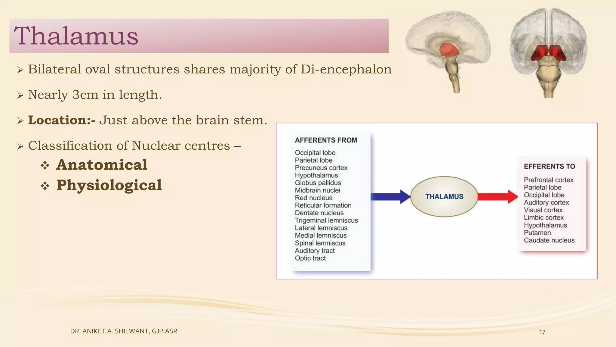 HNS PART IV - PARTS OF BRAIN | PPTX