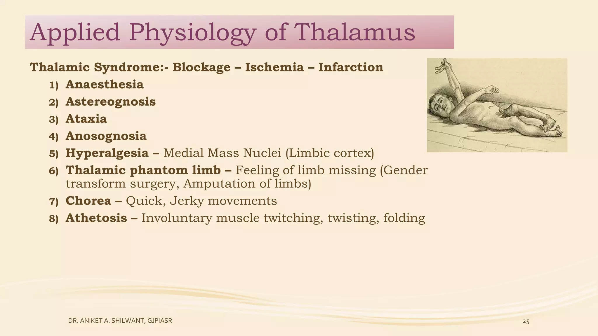 HNS PART IV - PARTS OF BRAIN | PPTX | Brain and Nervous System ...