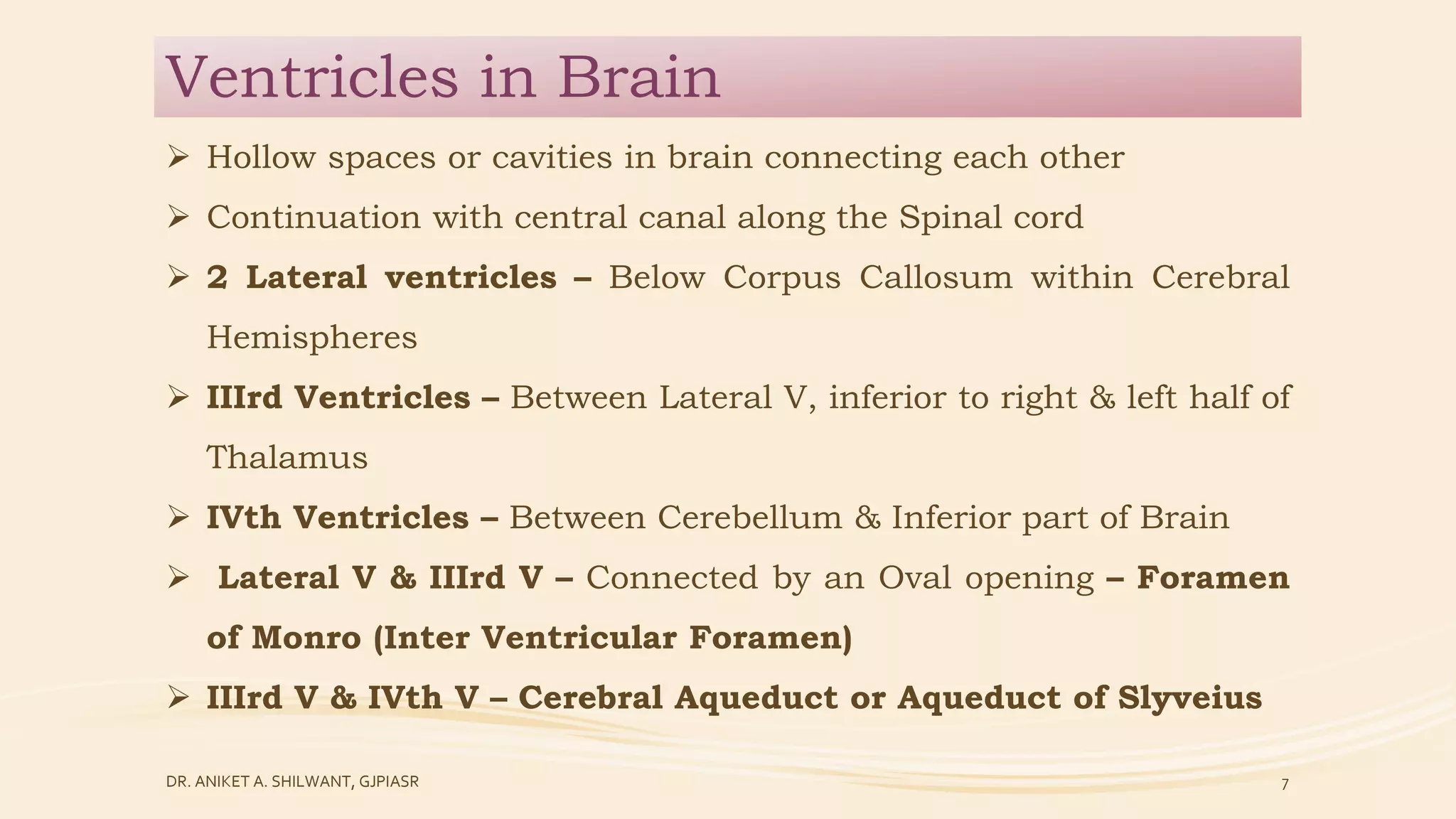 HNS PART IV - PARTS OF BRAIN | PPTX | Brain and Nervous System ...