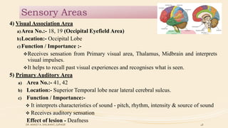HNS PART IV - PARTS OF BRAIN | PPTX