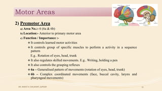 HNS PART IV - PARTS OF BRAIN | PPTX