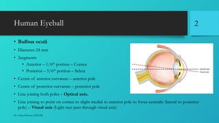 HNS PART IX SPECIAL SENSES - VISION | PPT