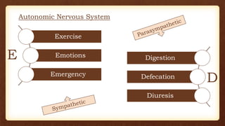 HNS PART VII - AUTONOMIC NERVOUS SYSTEM | PPT