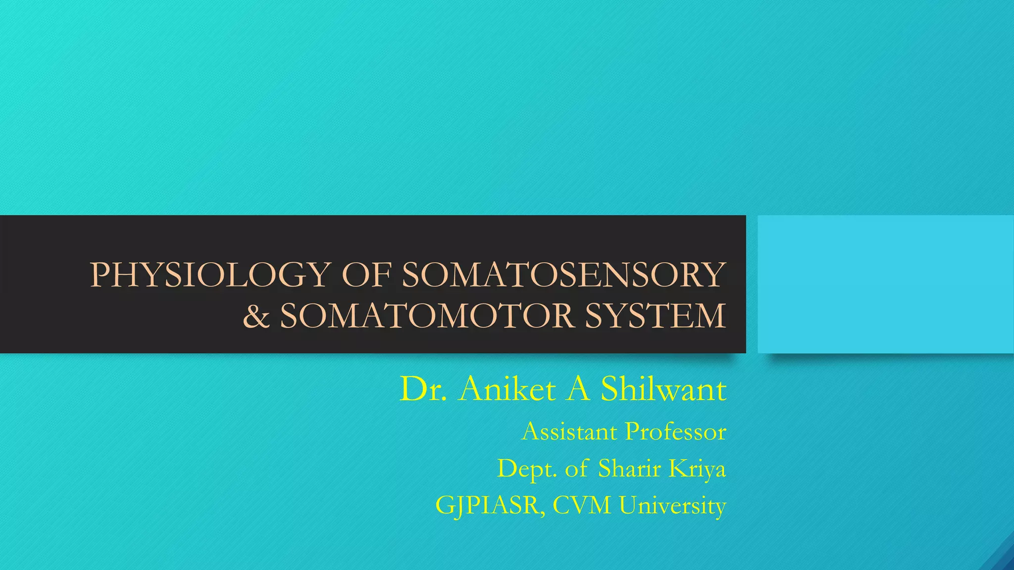 HNS PART VII - SOMATOMOTOR & SOMATOSENSORY SYSTEM | PPTX