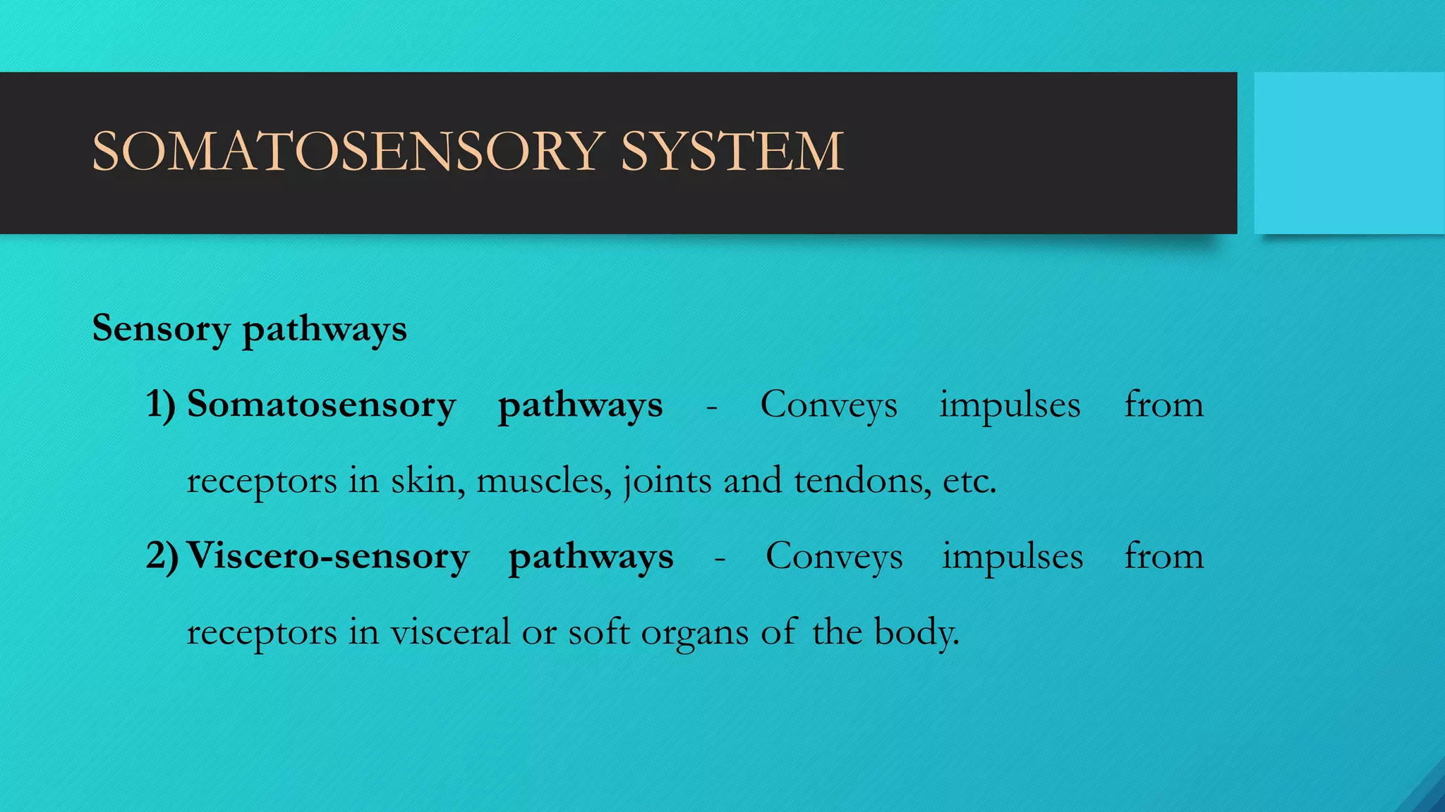 HNS PART VII - SOMATOMOTOR & SOMATOSENSORY SYSTEM | PPTX